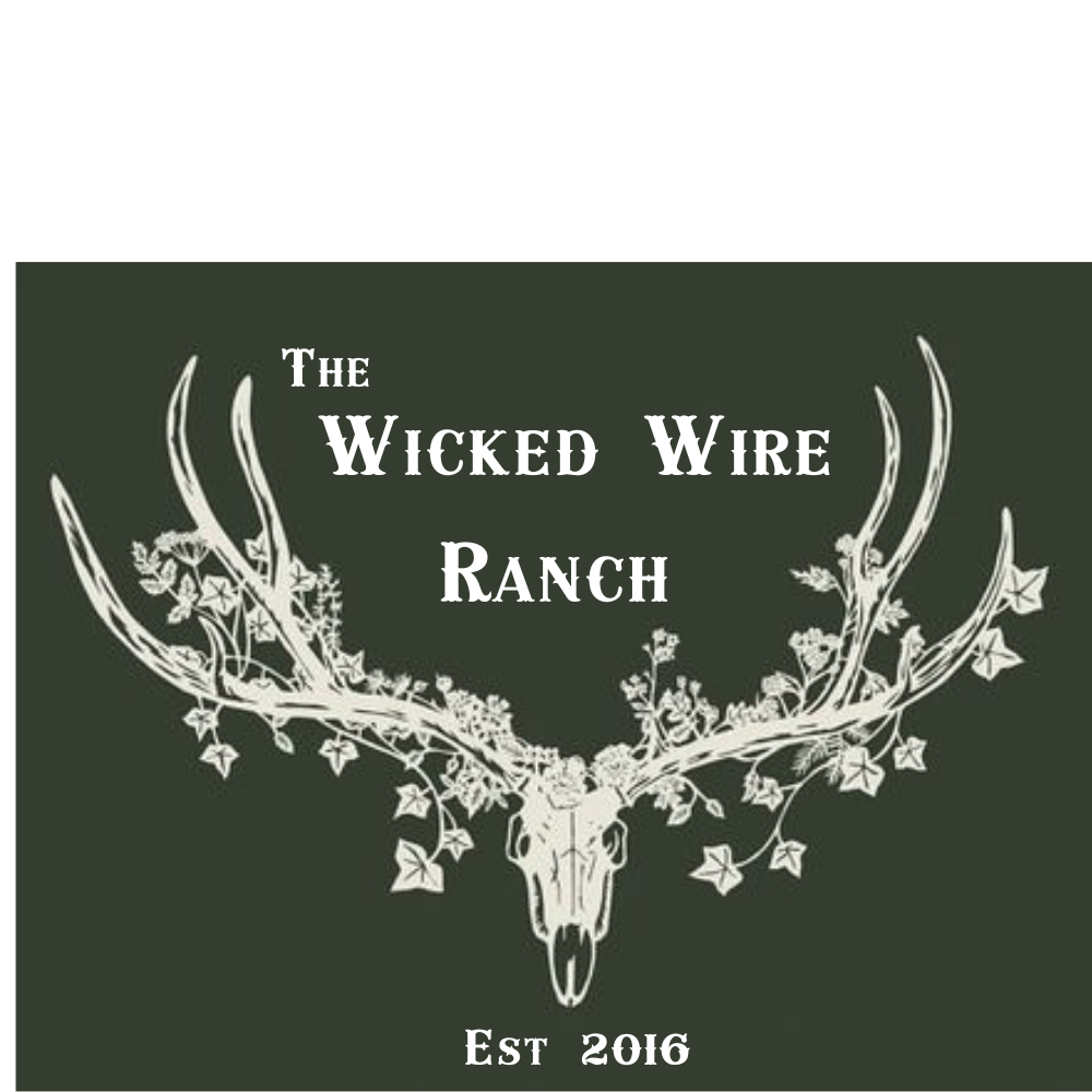 WickedWire Ranch.logopng